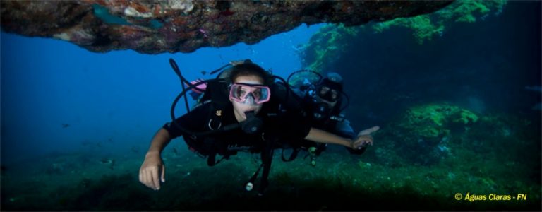 IANTD Open Water SCUBA Experience | Diving Javea